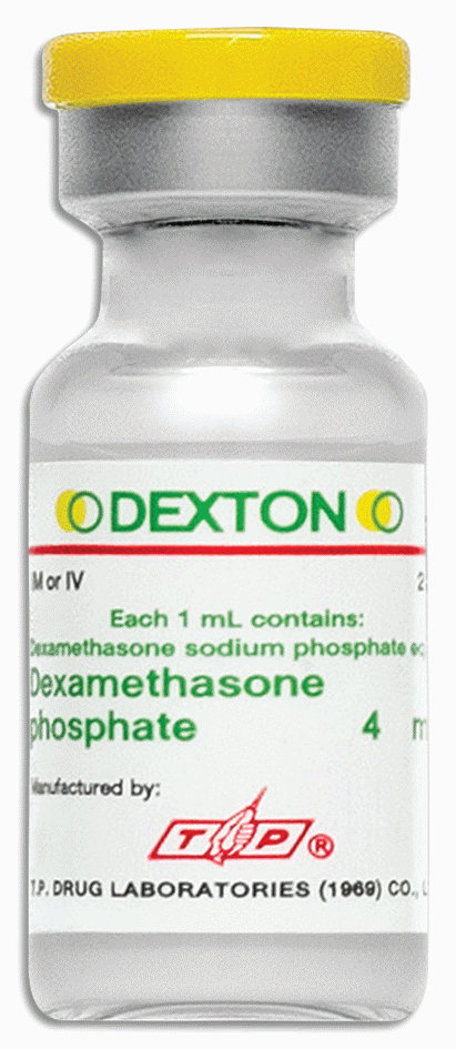 Image of dexton inj 4 mg-ml | MIMS Thailand